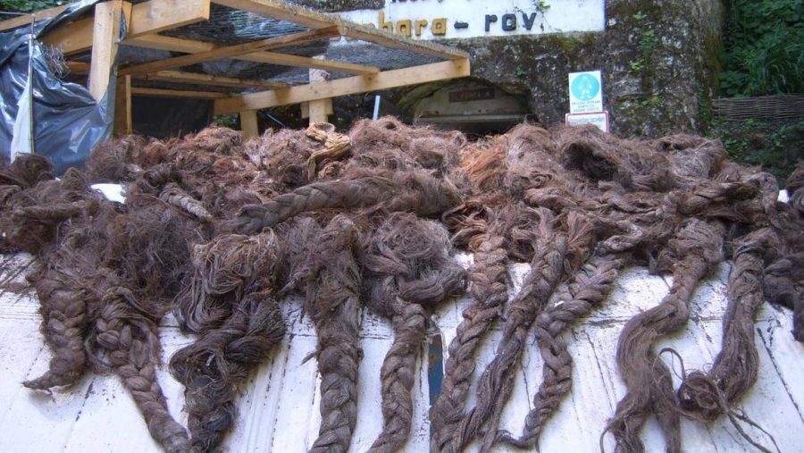 Slovenija Archives - e-Maribor